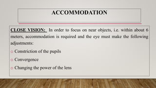 Physiology of sight | PPTX