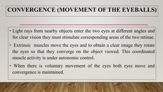 Physiology of sight | PPTX