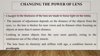 Physiology of sight | PPTX