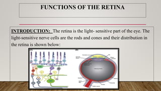 Physiology of sight | PPTX