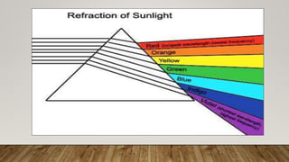 Physiology of sight | PPTX