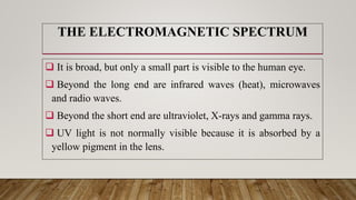Physiology of sight | PPTX