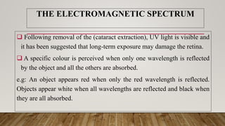 Physiology of sight | PPTX