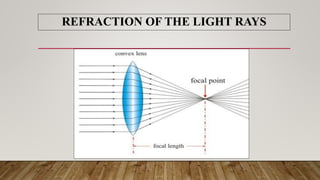 Physiology of sight | PPTX
