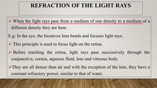 Physiology of sight | PPTX