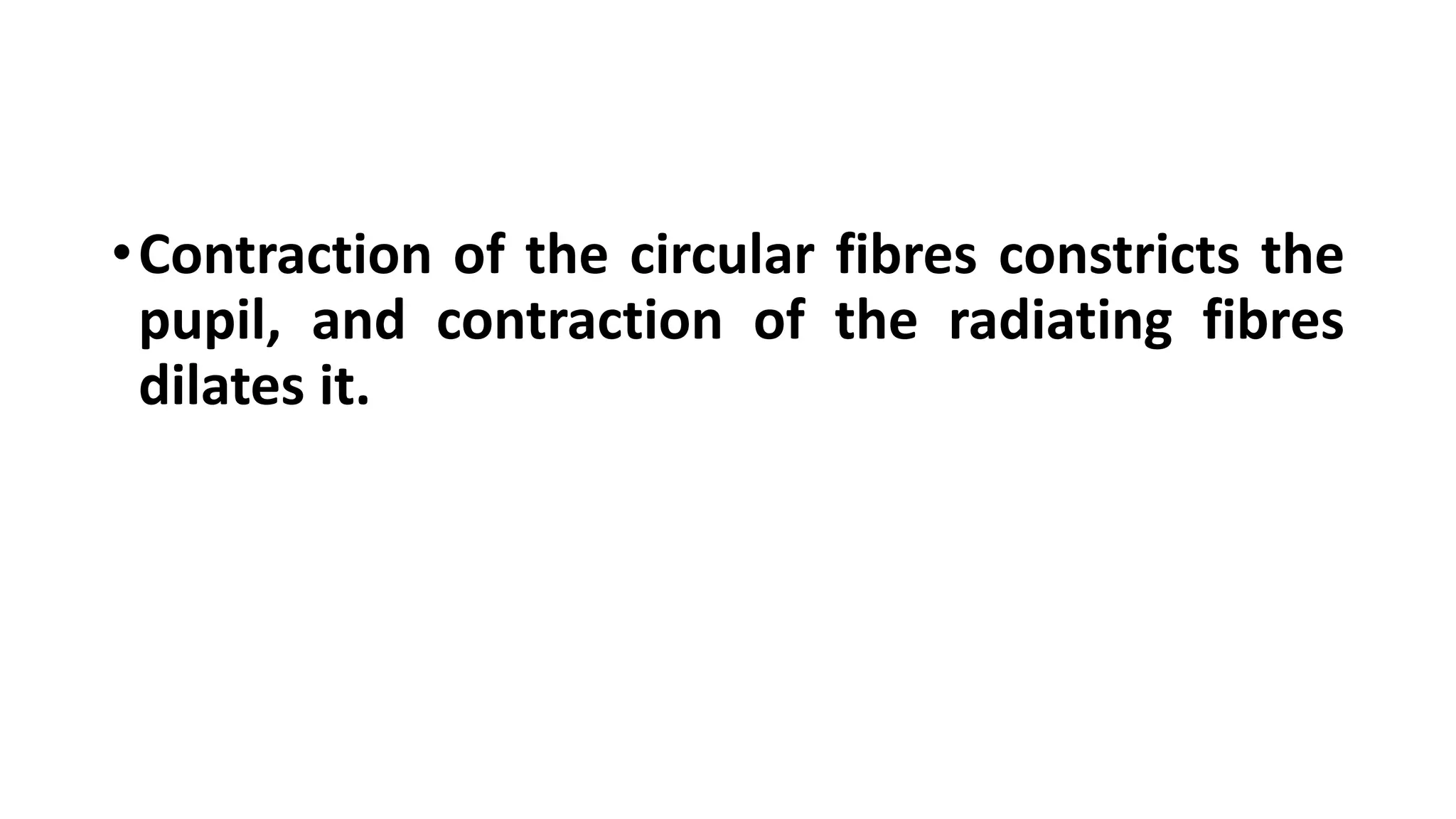 Physiology of sight and the eye | PPTX