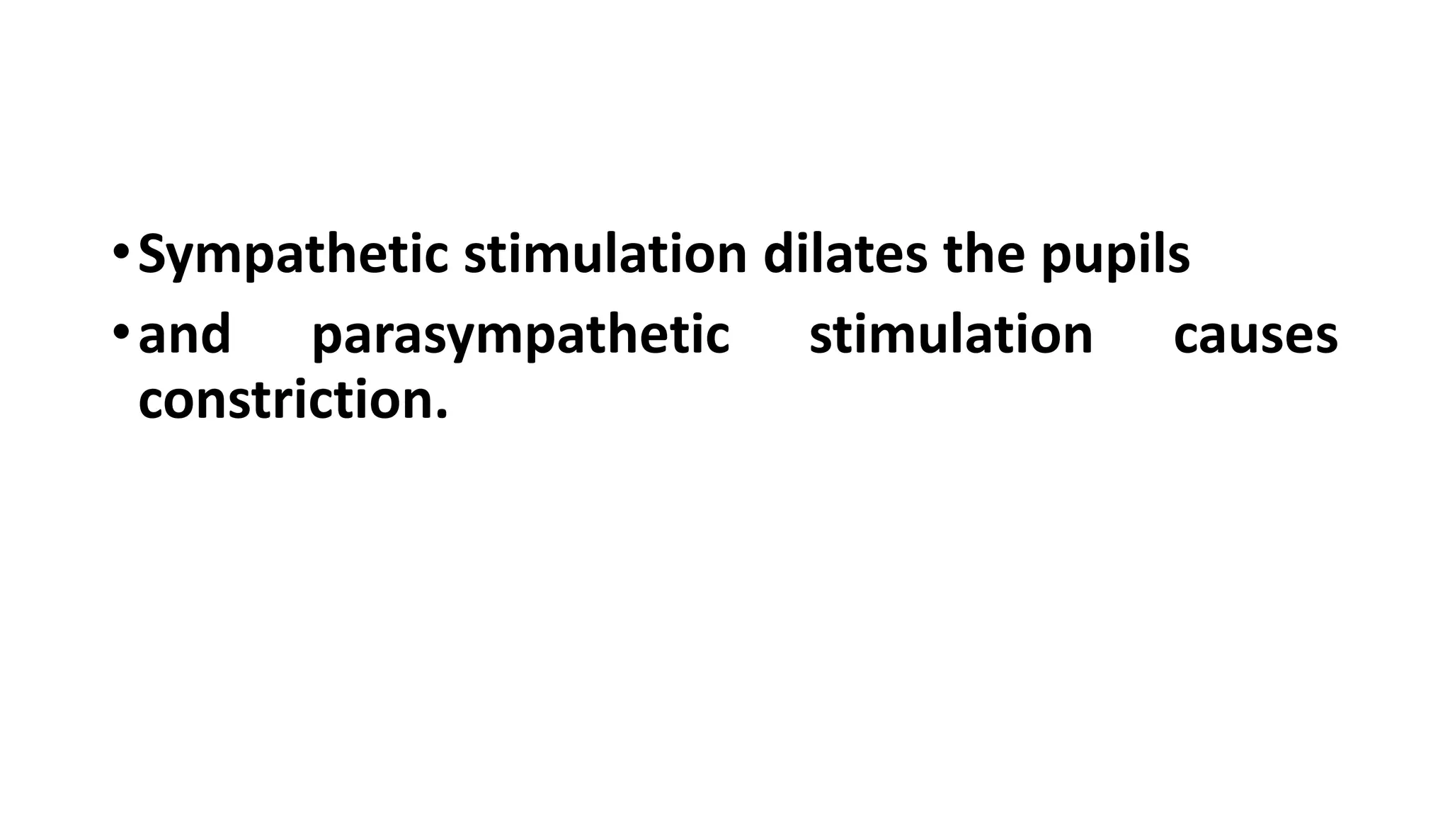 Physiology of sight and the eye | PPTX