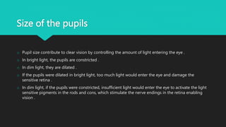 PHYSIOLOGY OF SIGHT.pptx