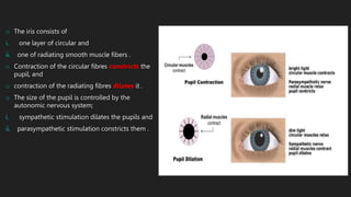 PHYSIOLOGY OF SIGHT.pptx