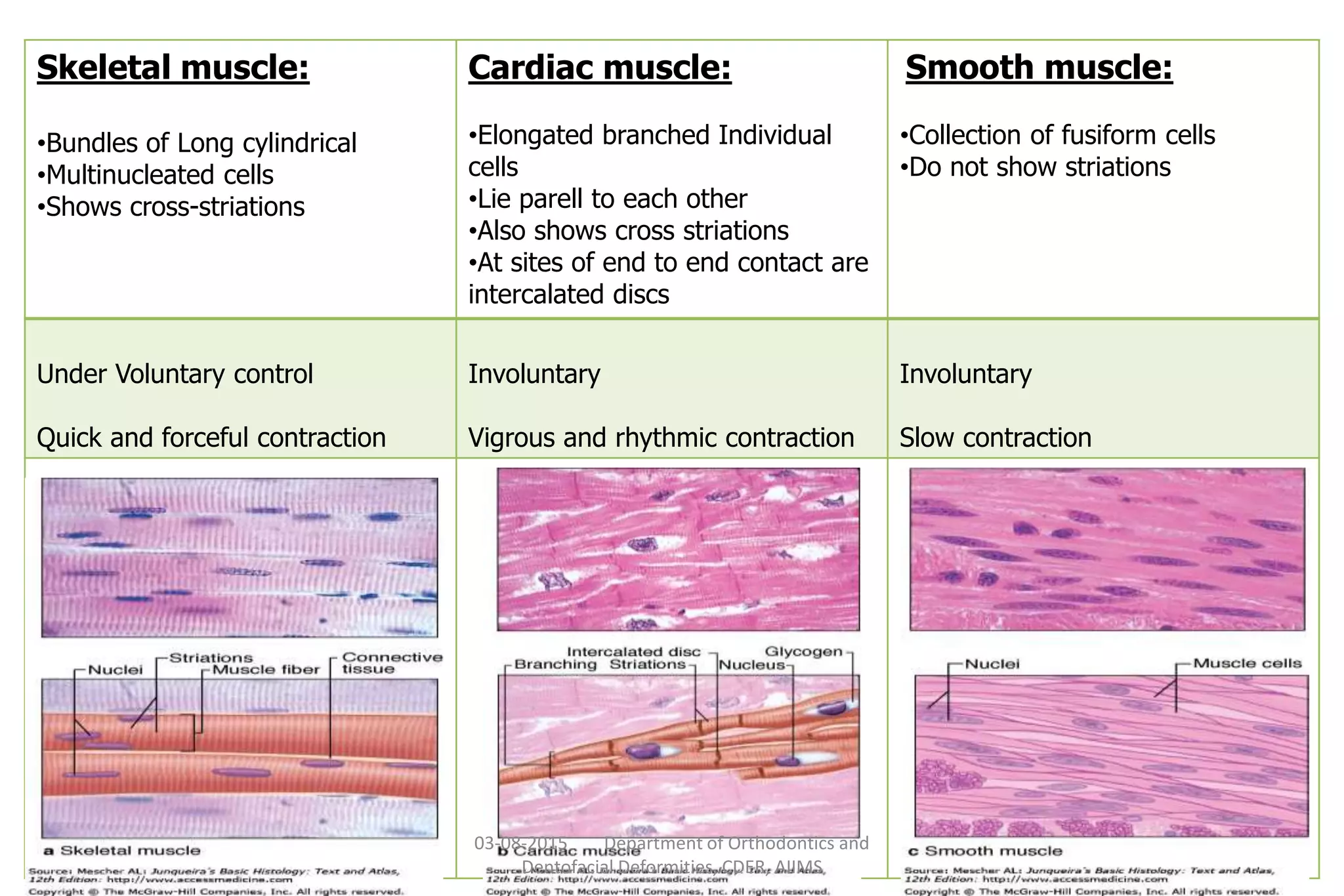 Physiology of skeletal muscle orthodontic considerations | PPTX