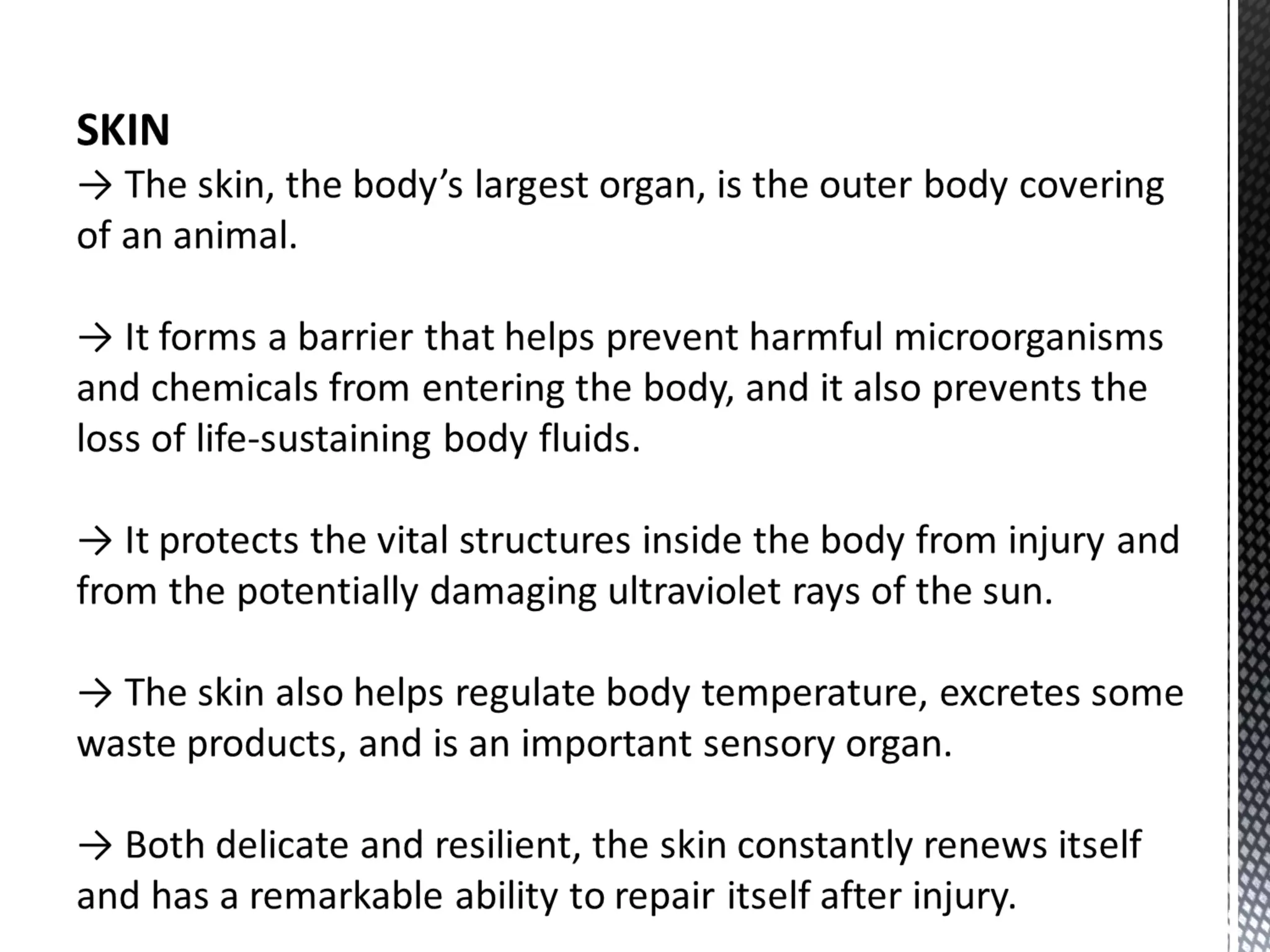 Physiology of skin function | PPT