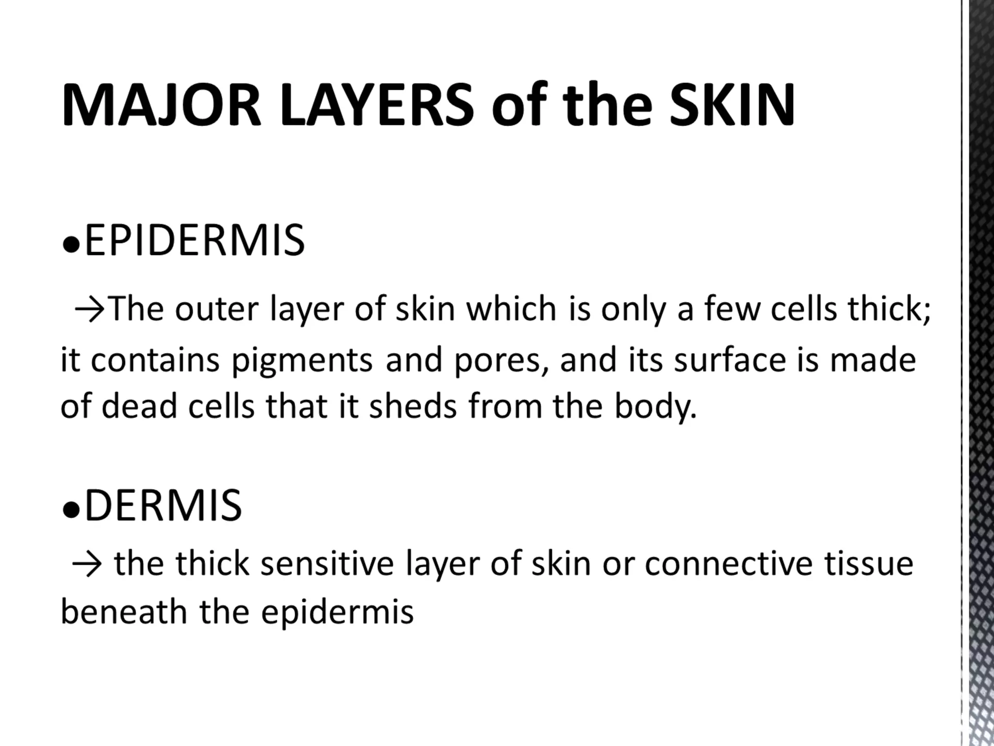 Physiology of skin function | PPT