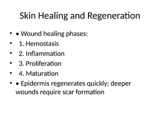Physiology skin presentation for college | PPTX