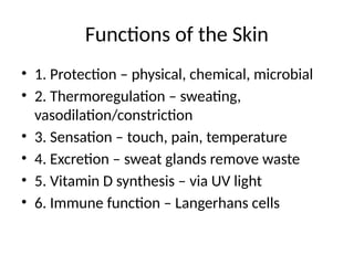 Physiology skin presentation for college | PPTX