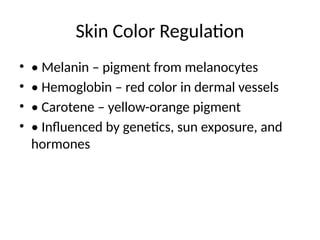 Physiology skin presentation for college | PPTX