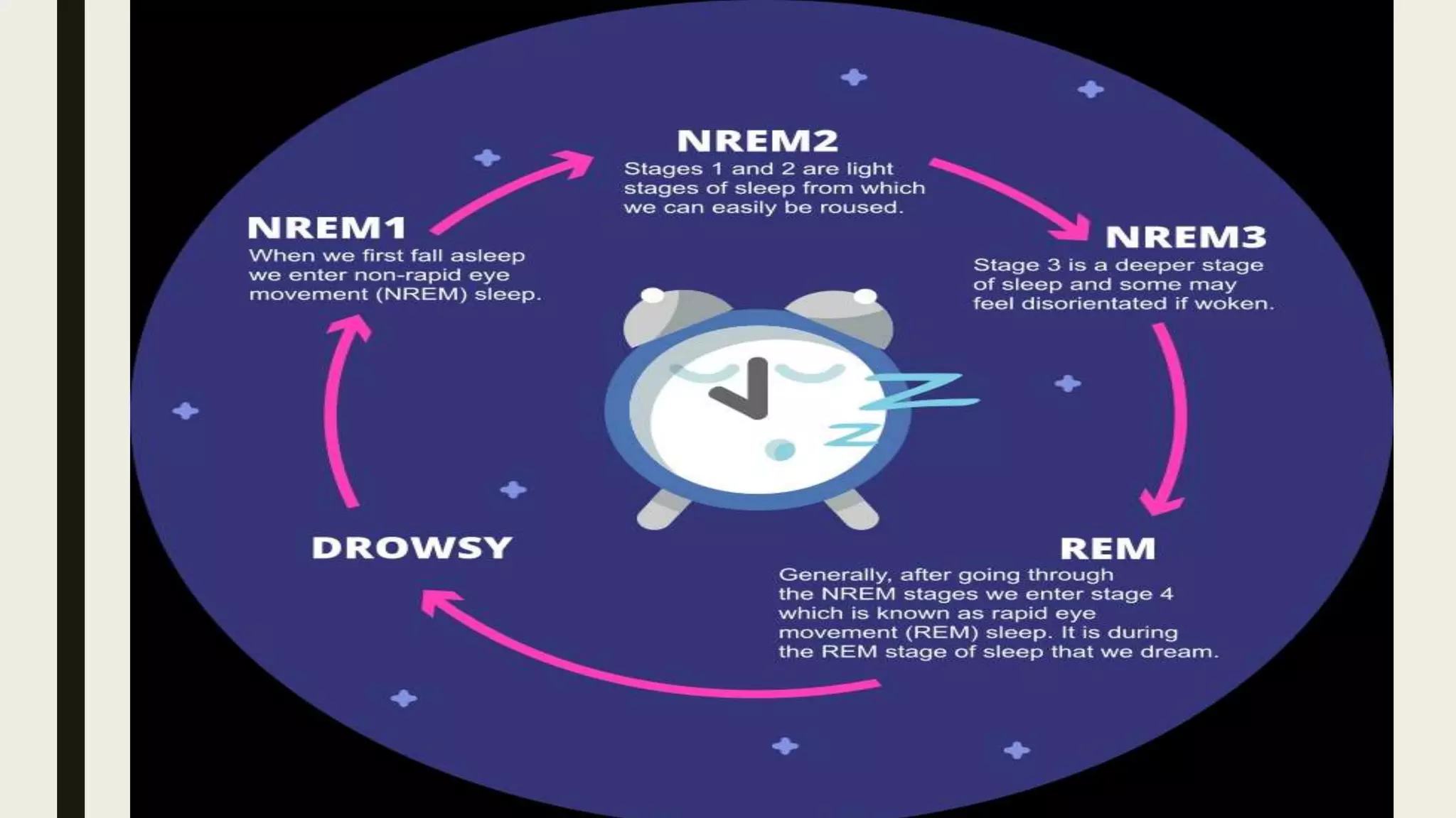 Physiology of sleep | PPTX