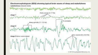 Physiology of sleep | PPTX