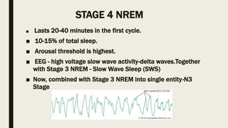 Physiology of sleep | PPTX
