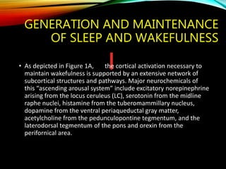 Physiology of sleep - medical information | PPTX