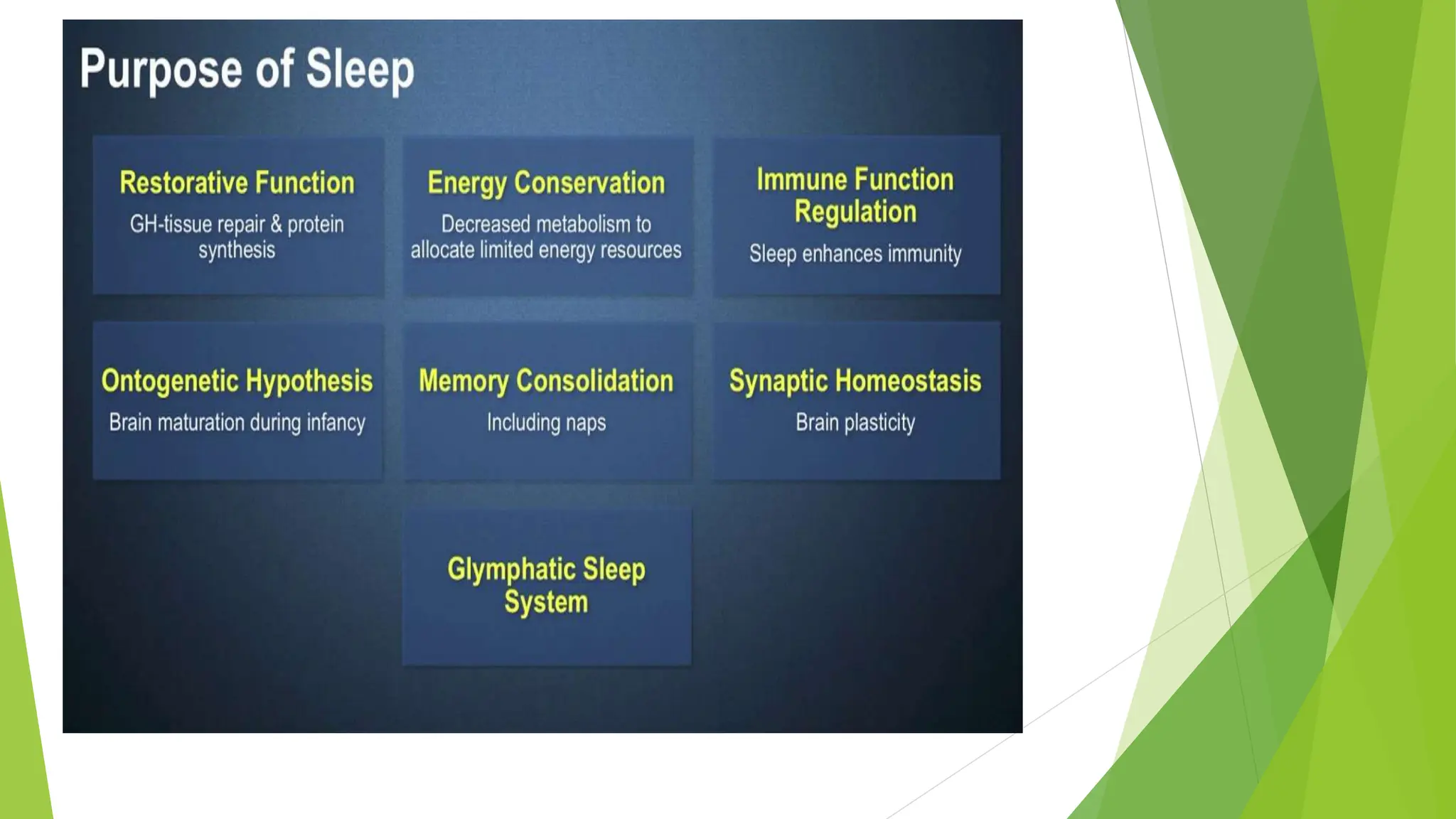 PHYSIOLOGY OF SLEEP.pptx