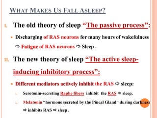 Physiology of sleep and E.E.G for undergraduates | PPTX