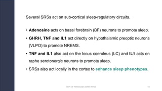 Physiology of sleep and polysomnography | PDF