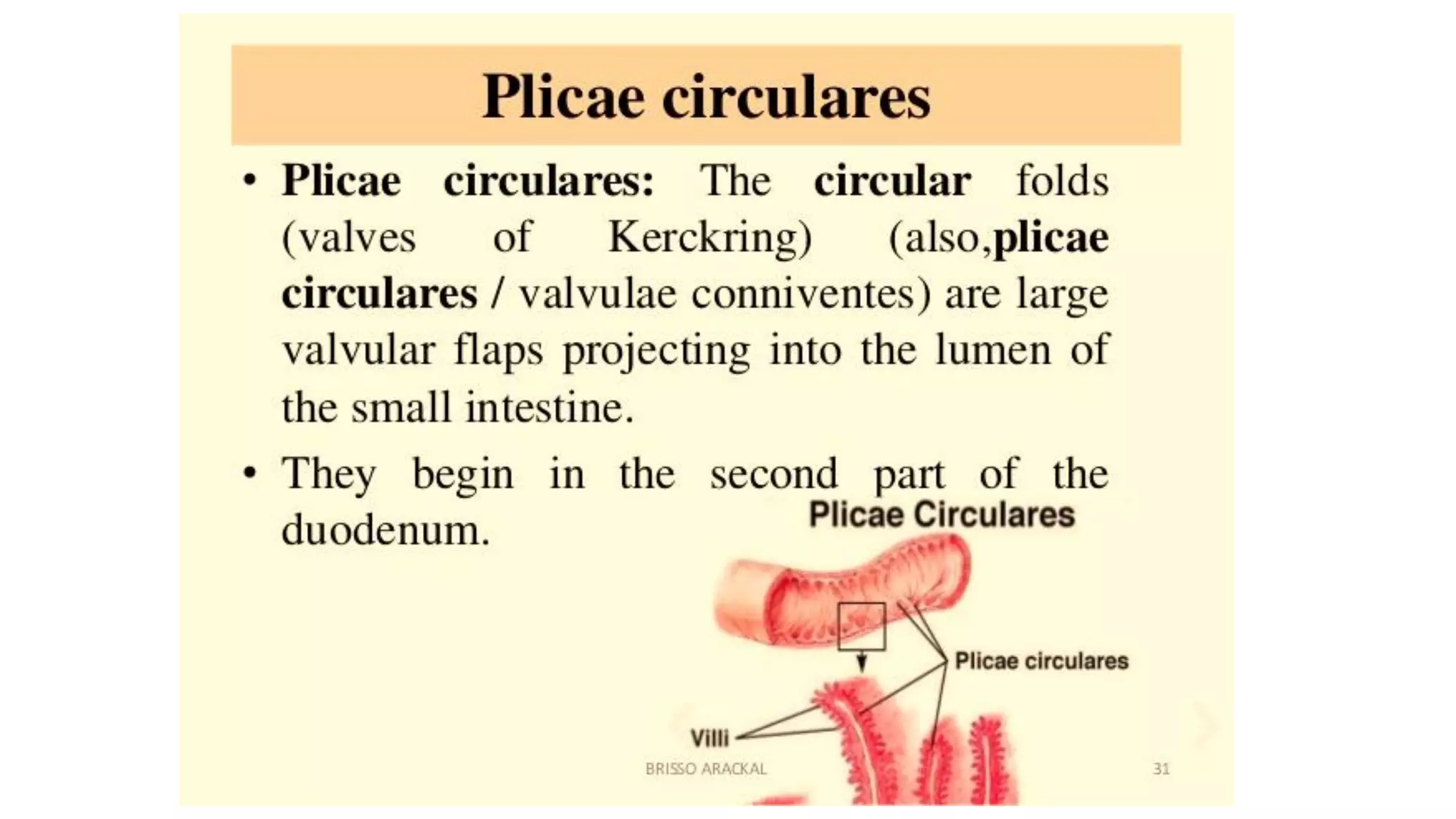 PHYSIOLOGY OF SMALL INTESTINE .pdf