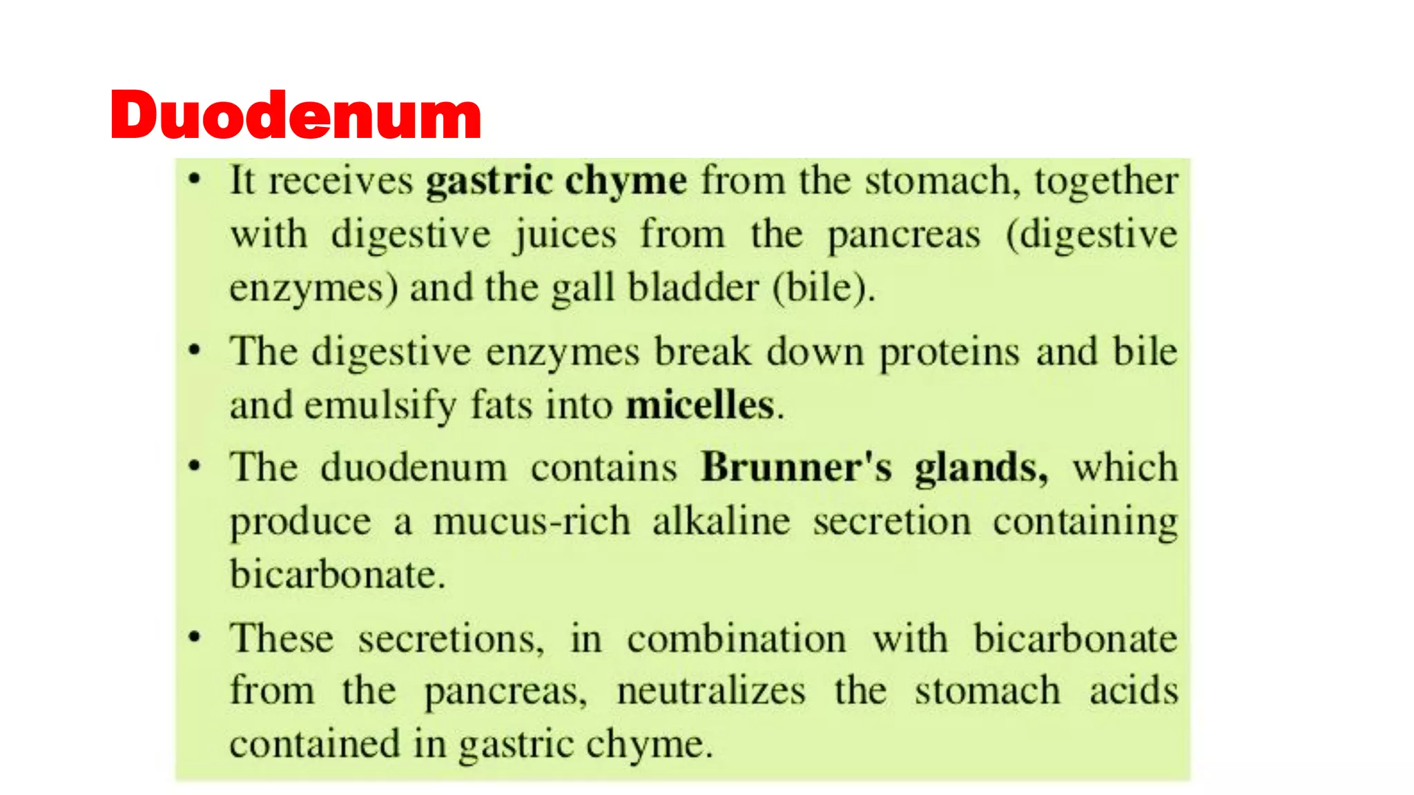PHYSIOLOGY OF SMALL INTESTINE .pdf
