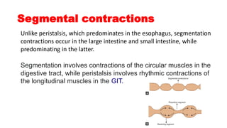 PHYSIOLOGY OF SMALL INTESTINE .pdf