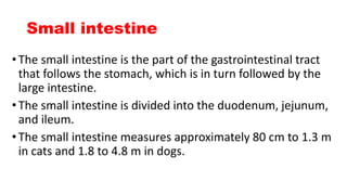 PHYSIOLOGY OF SMALL INTESTINE .pdf