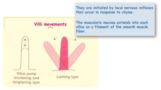 PHYSIOLOGY OF SMALL INTESTINE .pdf