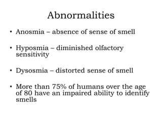 Physiology of smell | PDF