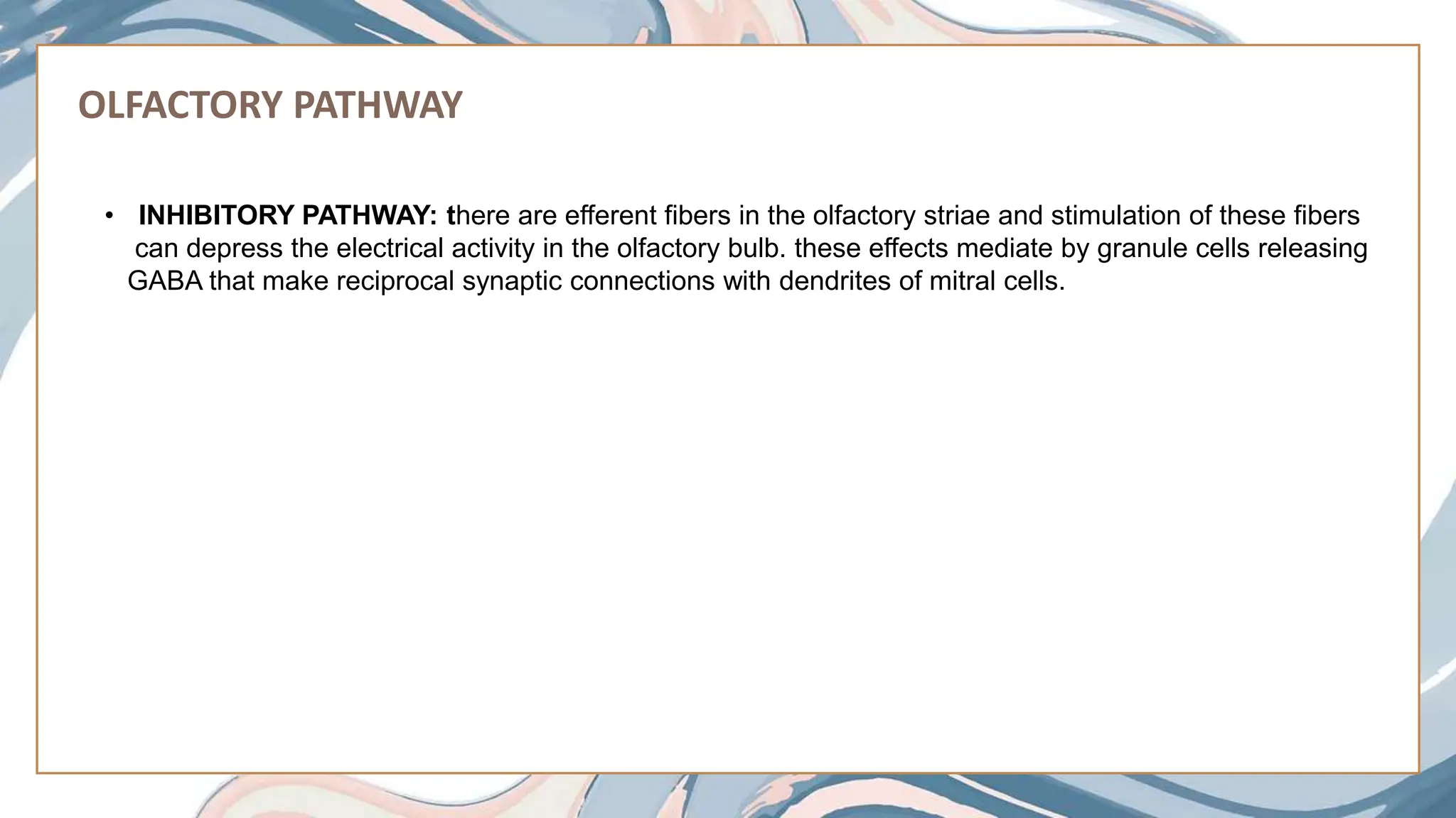physiology of smell and applied aspects of smell | PPTX