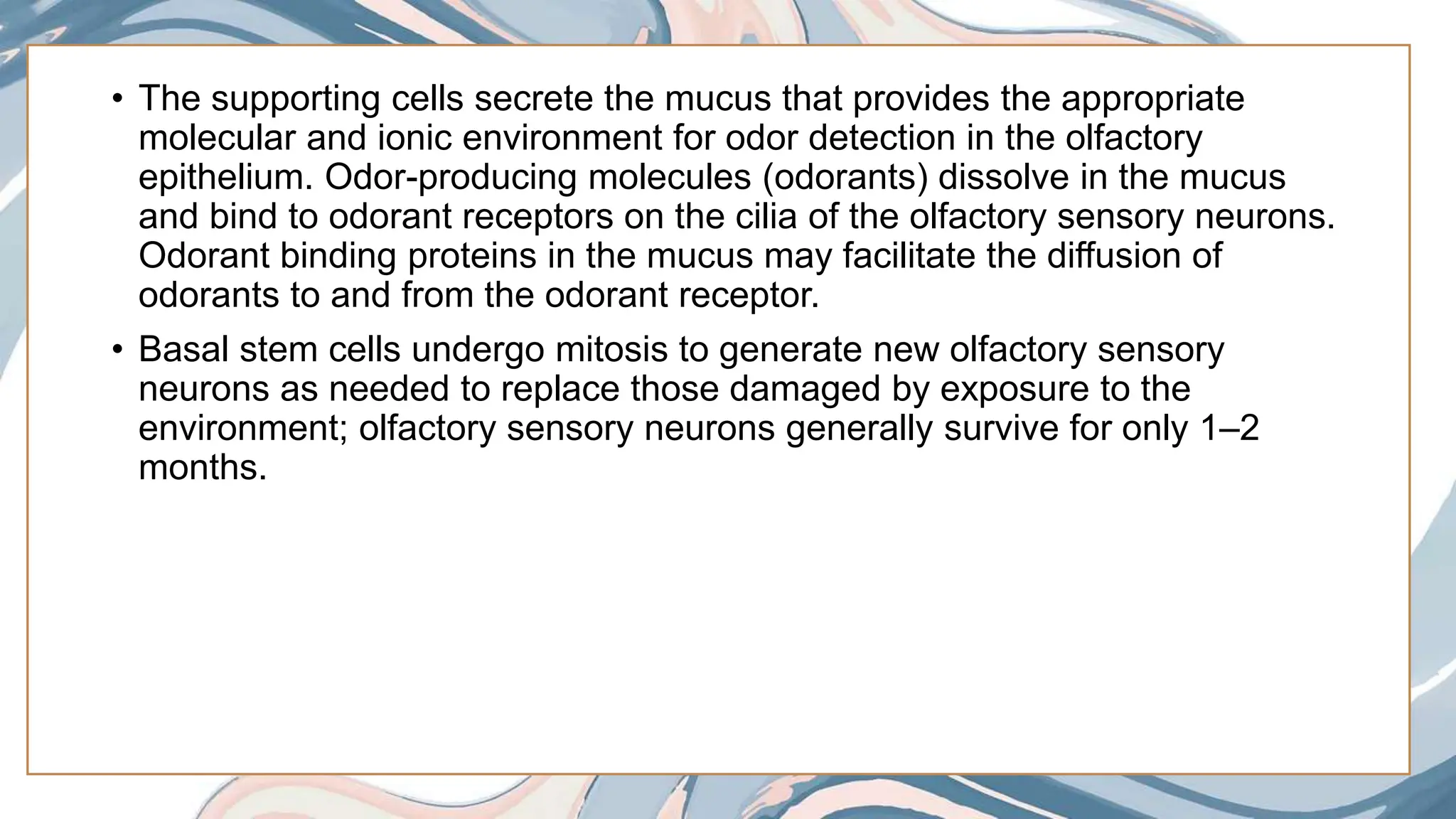 physiology of smell and applied aspects of smell | PPTX