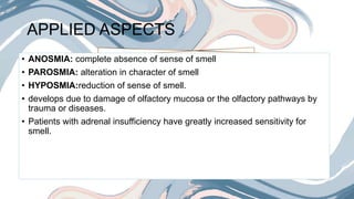 physiology of smell and applied aspects of smell | PPTX