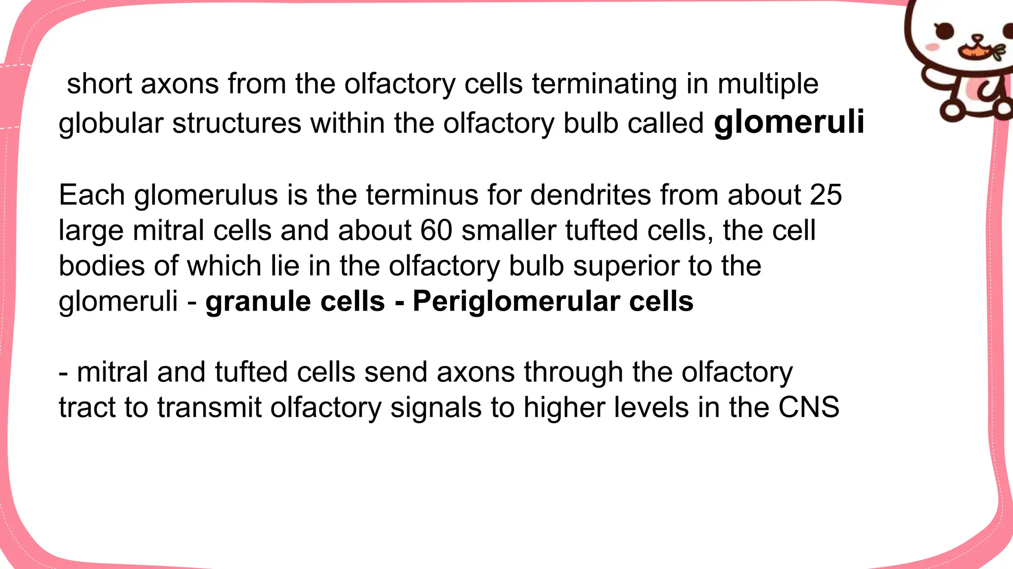 PHYSIOLOGY OF SMELL (1).pptx ... | PPTX