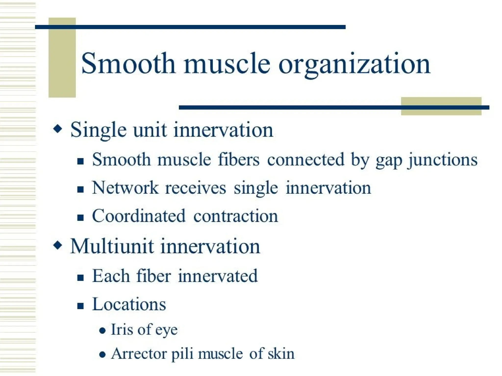 physiology of smooth muscle.ppt