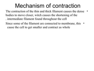 physiology of smooth muscle.ppt