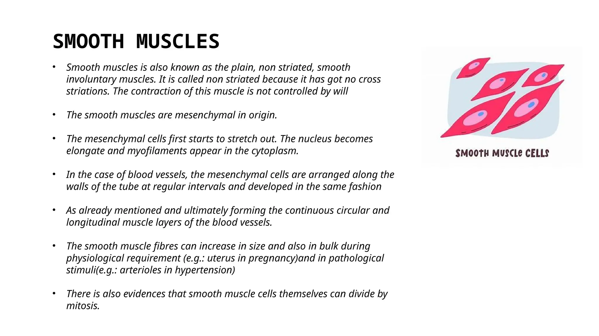 PHYSIOLOGY OF SMOOTH MUSCLE (INVOLUNTARY MUSCLES) | PPTX