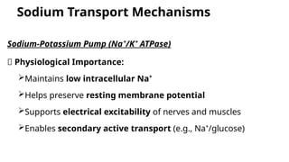 Physiology of Sodium Homeostasis – Causes & Management.pptx