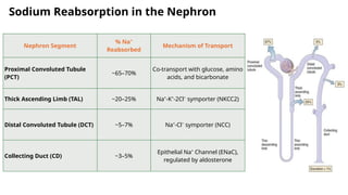 Physiology of Sodium Homeostasis – Causes & Management.pptx