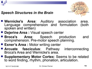 Physiology of speech | PPT