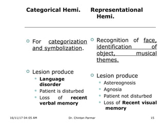 Physiology of speech | PPT