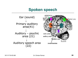 physiologyofspeech-171116040546 (1).pptx