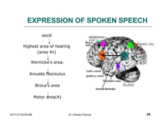physiologyofspeech-171116040546 (1).pptx