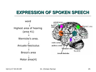 physiologyofspeech-171116040546 (2).pdf