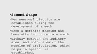 physiology of speech ^0 articulation.pptx