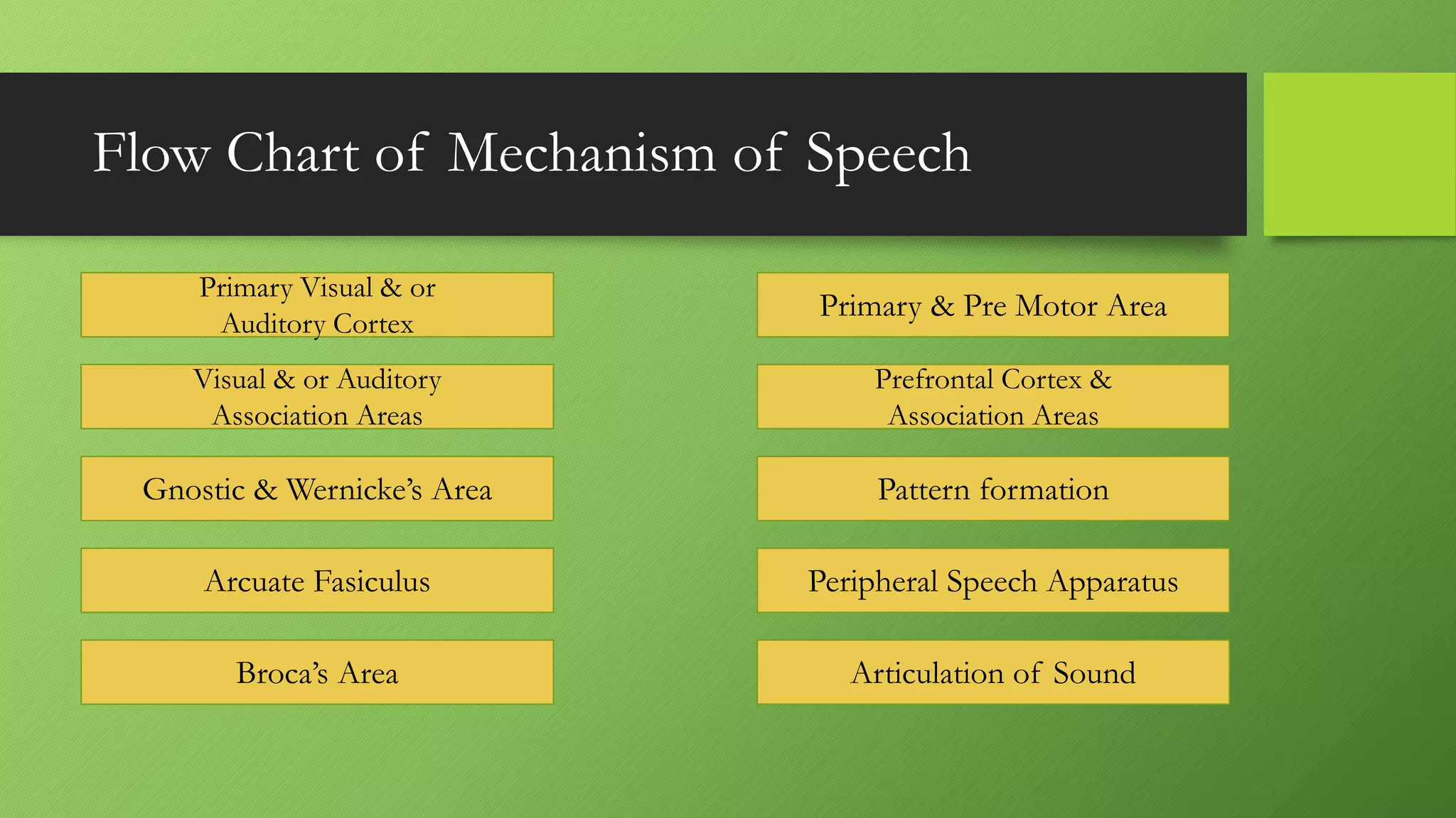 PHYSIOLOGY OF SPEECH & ARTICULATION | PPTX