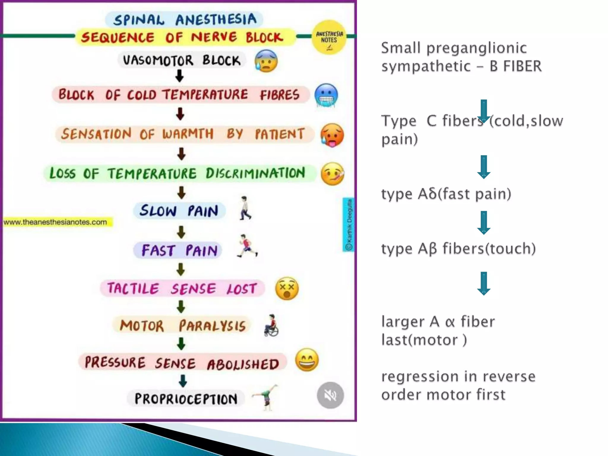 PHYSIOLOGY OF SPINAL ANAESTHESIA.pptx