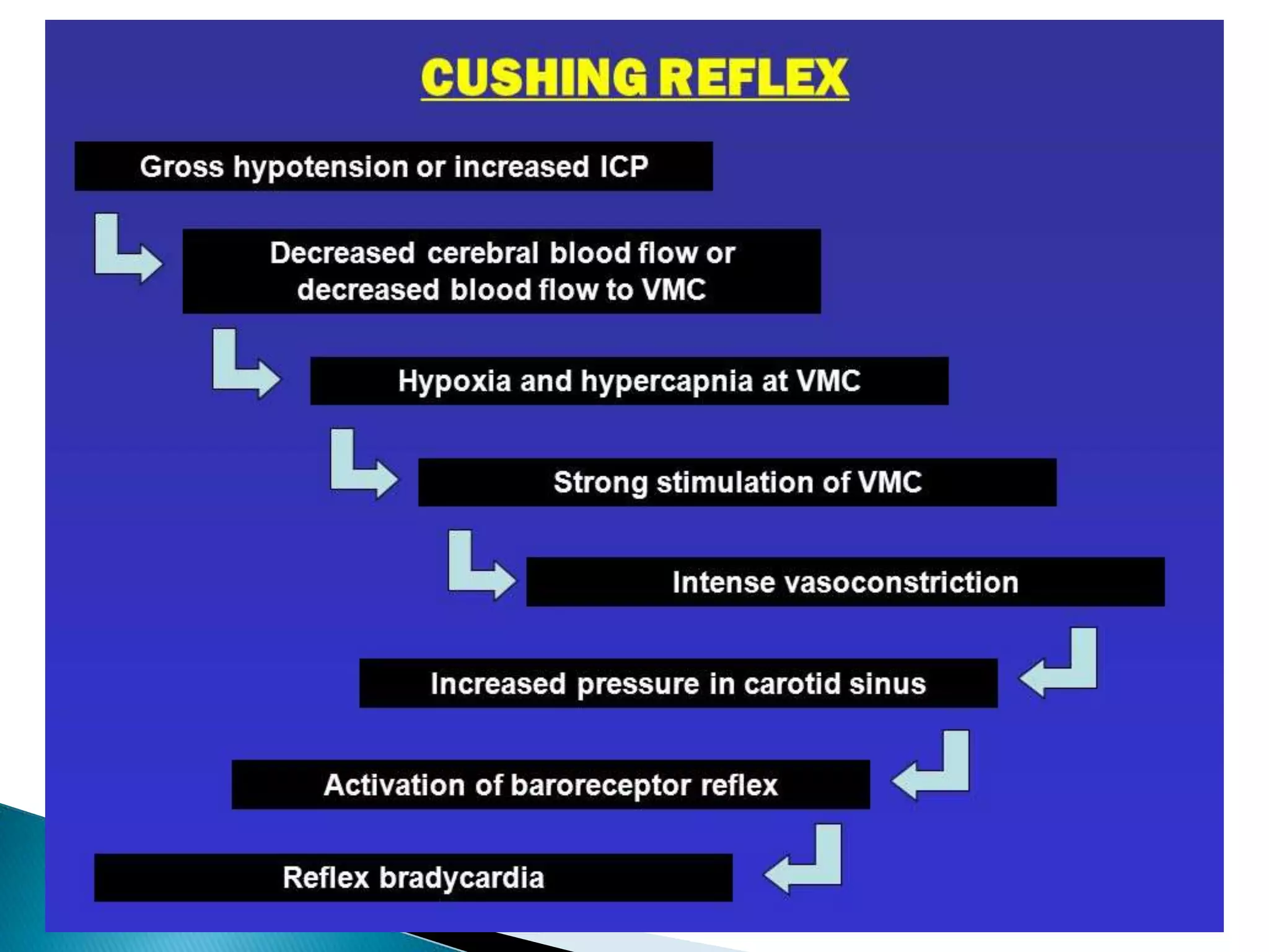 PHYSIOLOGY OF SPINAL ANAESTHESIA.pptx